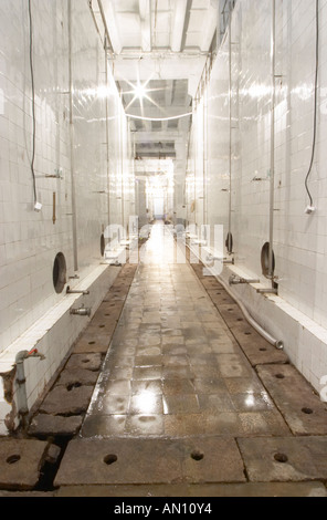 Enormous concrete fermentation and storage vats covered in white tiles ...