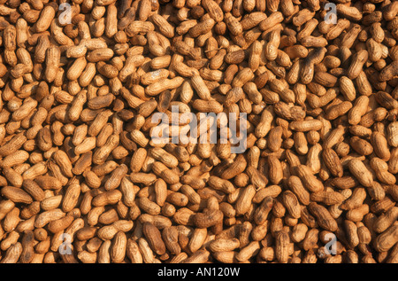 Close up of roasted peanuts in black ceramic bowl with wooden spoon and ...