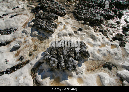 flint and chalk Stock Photo - Alamy