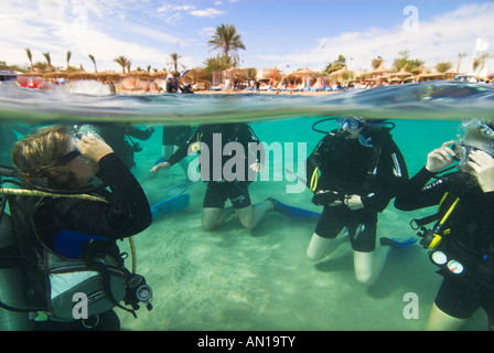 Learning to scuba dive off beach shallow water Sharm El Sheikh Stock ...