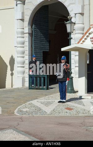 A vertical picture showing Sentries and Sentry Boxes at the front of ...