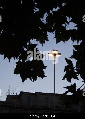 three bulb lit lamp post with trees at night Stock Photo - Alamy