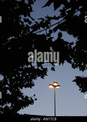 three bulb lit lamp post with trees at night Stock Photo - Alamy