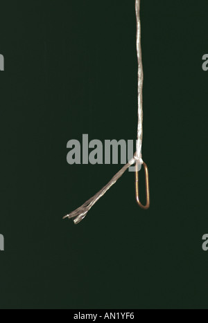 one paperclip tied to piece of string Stock Photo - Alamy