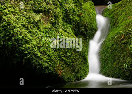 Schwarzwald Monbachtal Wasserfall waterfall germany europe black forest ...