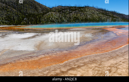 Colorful Pools of the Grand Prismatic Spring in the Midway Geyser Basin ...