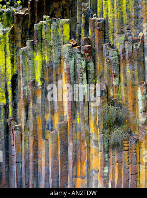 Columnar basalt column with red and orange lichen and grasses, Rode O ...