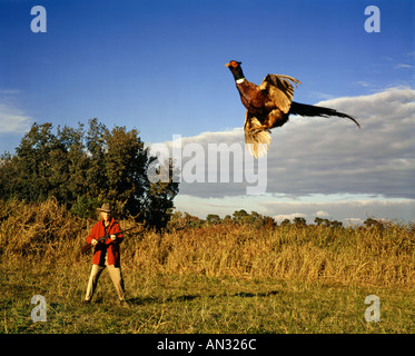 A young Pheasant hunter Stock Photo - Alamy