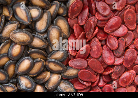 black kuaci pumpkin seed Asian snack Stock Photo - Alamy