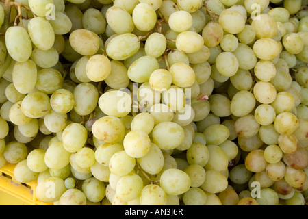 Tripoli, Libya. Fruit and Vegetable Stand Egyptian Workers Stock Photo ...