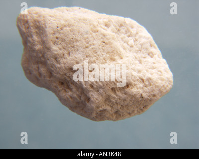 Igneous rock : Pumice Stock Photo - Alamy