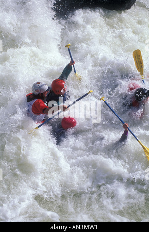 Whitewater rafting, Gore Canyon, Colorado River, Colorado Stock Photo ...