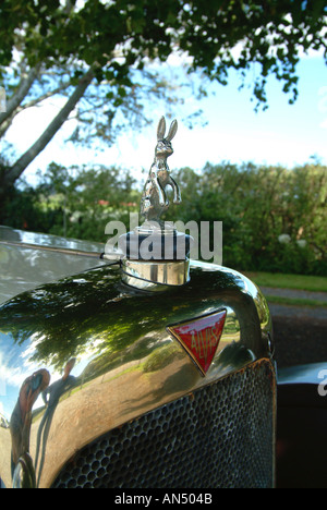 classic alvis car radiator mascot Stock Photo - Alamy