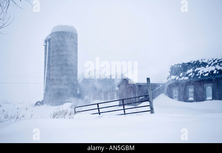 The Valentine s Day Blizzard of 2007 rages at a farm in Williston ...