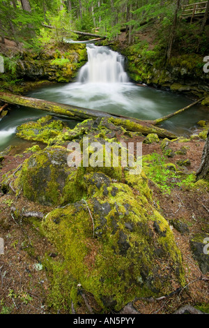 The USA, America, waterfall, Whitehorse, moss, green, rain forest, wood ...