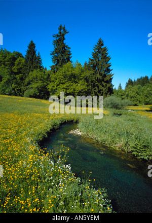 Blooming meadows and streamlet Stock Photo - Alamy