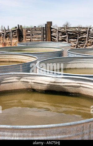 Barrel for watering cattle. Watering place for cattle Stock Photo - Alamy