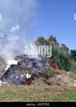smoky garden bonfire fire flame flames flaming fire burn burns burning ...