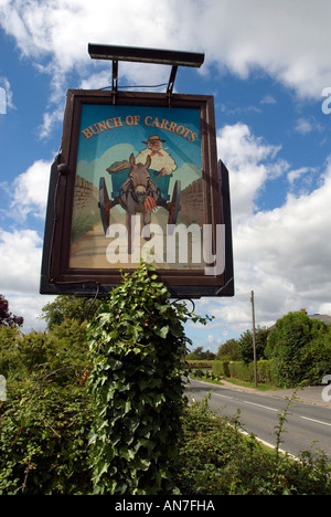 Bunch of Carrots pub sign outside Hereford Hereforshire UK England ...