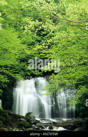 Meigs Falls Spring Great Smoky Mountains National Park TN Stock Photo ...