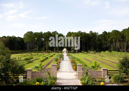 The organic farm Hampton Island Preserve Georgia Stock Photo - Alamy