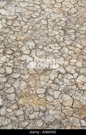 UK. Scorched earth with cracked dry soil from above following a few ...