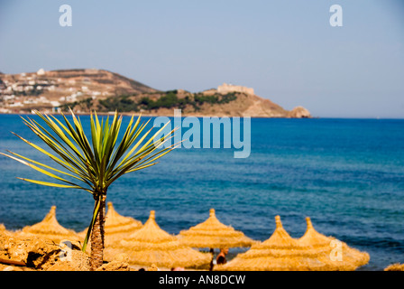 Tabarka beach, Tunisia Stock Photo - Alamy