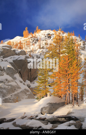 Golden Larches and Winter Snow at Lake Allos in Mercantour National ...