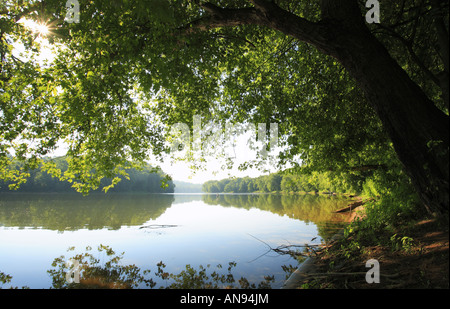 Potomac River at Four Locks, C and O Canal National Historic Park, Big ...