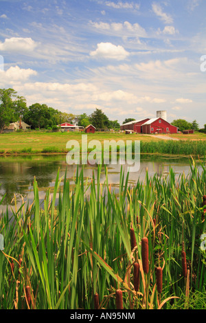 Homestead Farm, Poolesville, Maryland, USA Stock Photo - Alamy
