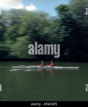Teamwork Concept of Men Rowing Team Setting Paddles in Preparation ...