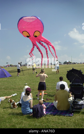 Kite festival at Dunstable Downs Bedfordshire UK Stock Photo - Alamy