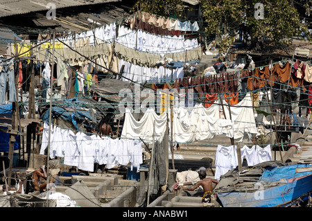 A Dhobi Wallah washing clothes at the Dhobi Ghat which is a large open ...