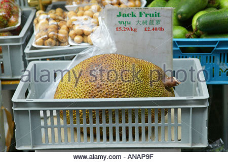 Jackfruit tree, China Stock Photo: 29831037 - Alamy