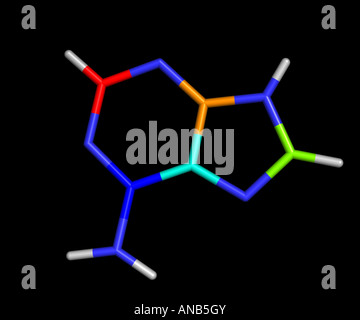 Adenine, Molecular model of the purine nucleobase adenine (C5.H5.N5 ...