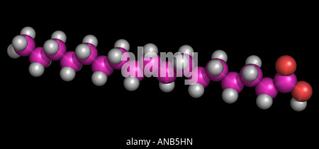 Elaidic acid trans fatty acid molecule. Trans fatty acids are found in ...