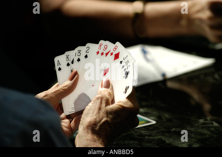 Senior Women Playing Bridge Every Week With Friends Stock Photo - Alamy
