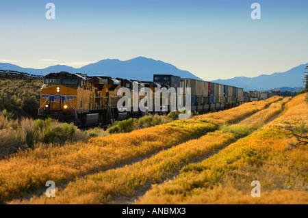 Train moves down the railroad pulling freight cars and boxcars Stock ...