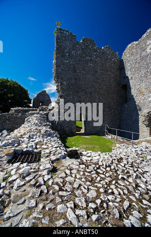 Weobley Castle on the Gower Peninsular in South Wales Stock Photo - Alamy
