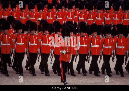 British soldiers wearing red ceremonial uniforms lined up on parade ...