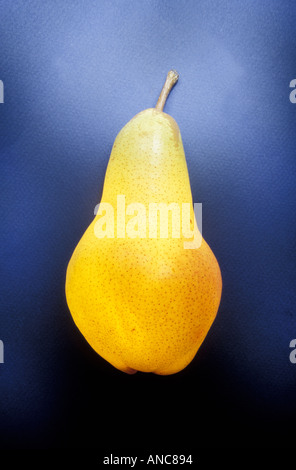 pear studio interior inside Stock Photo - Alamy