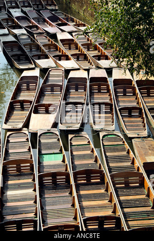 Punts for hire. River Cherwell in Oxford Oxfordshire England UK Stock ...