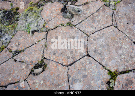 Columnar Basalt Revealing Hexagonal Structure, Iceland Stock Photo - Alamy