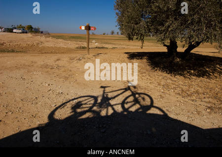 Shadow of mountain bikes mounted on roof of SUV Stock Photo - Alamy