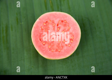 Guava fruit cross section Stock Photo - Alamy