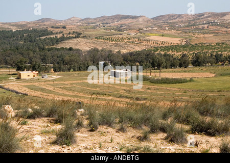 Sidi al-Gharib near Tarhouna, Libya. Farm with Olive Trees in Distance ...