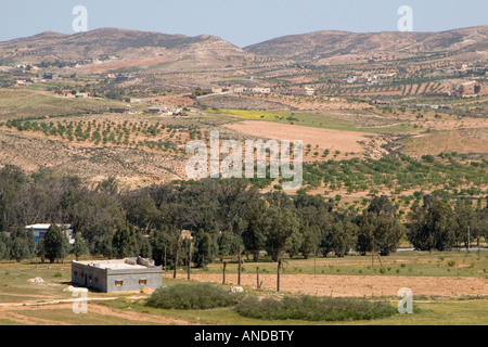 Sidi al-Gharib near Tarhouna, Libya. Farm with Olive Trees in Distance ...