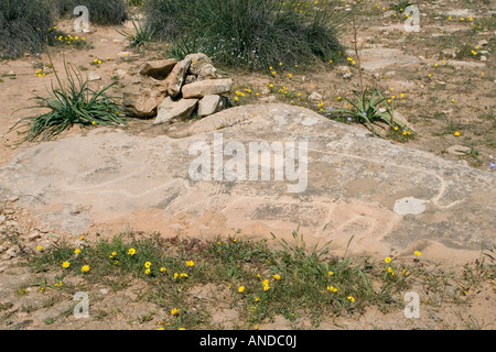 Sidi al Gharib near Tarhouna Libya Farms Countryside with Olive Trees ...