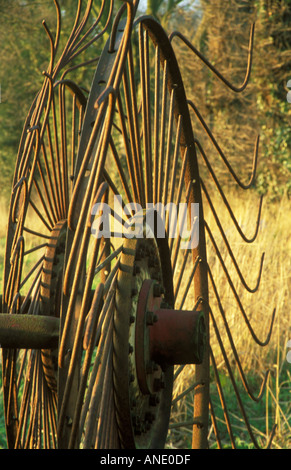 Old rusty Hay Turner. Old agricultural equipment on hay Stock Photo - Alamy