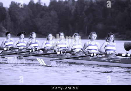 teamwork cooperation stockholms rowing club women team model released ...
